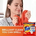 Tide Powder Laundry Detergent, Original Scent, 218g/7.70oz Bag:.: 20 ...