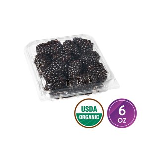 Fresh Blueberries, 18 oz. Container - Walmart.com