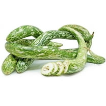 Caveman's Club Gourd Seeds for Planting - 20 Seeds - Big Club Shaped ...