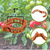 Dstone Garden Clips for Vine Crops, Climbing Plants, Flowers - Easy-to ...