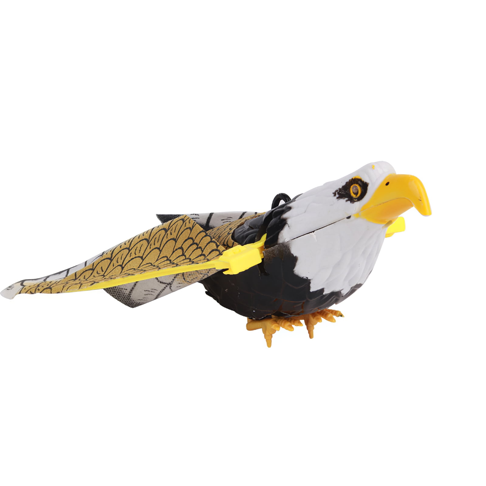 Kitchen & Dining Refrigerator Magnets Bald Eagle Bass Pro Shops ...
