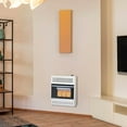 Procom Heating 18,000BTU Natural Gas Ventless Infrared Plaque Heater ...