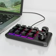 fankhu RGB Keyboard 12 Keys 2 Knobs DIY Keypad for PS Drawing (Black ...
