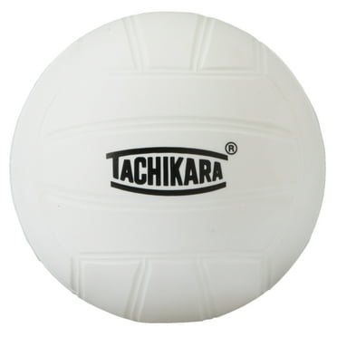 Heavy Weighted Center Volleyball Standard - Walmart.com