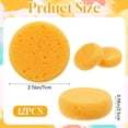 12 PCS Pottery Sponges, Round Clay Sponges High Elasticity Soap Sponge ...