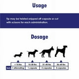 Omega-Caps HP snip tips for Cats and Smaller Dogs, 60-Count Bottle ...