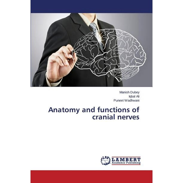 Anatomy And Functions Of Cranial Nerves Paperback Walmart anatomy-and-functions-of-cranial-nerves-paperback-walmart