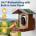 (R) Bird Feeder with Camera Solar , AI Identify & Capture, Live Video ...