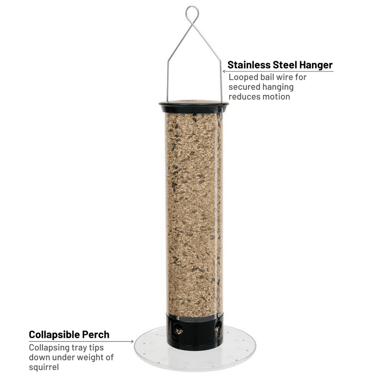 Droll yankee bird feeders store