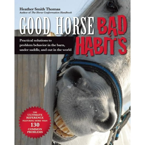 Horses Behavior