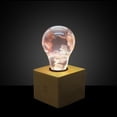 EP Light Lamp Light with Edison Style Bulb,Resin Eternal Flower Art ...