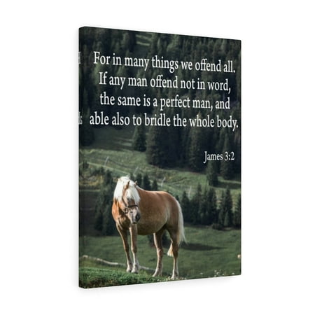 Scripture Walls For in Many Things We Offend All James 3:2 Scripture ...