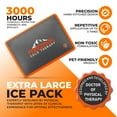Freezpain Cold Therapy Extra Large Gel Pack (14.9" x 23.6") - Walmart.com