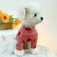 EcoVerve Pet Clothes Dog Cat Home Casual Two Foot Clothes Teddy Than ...