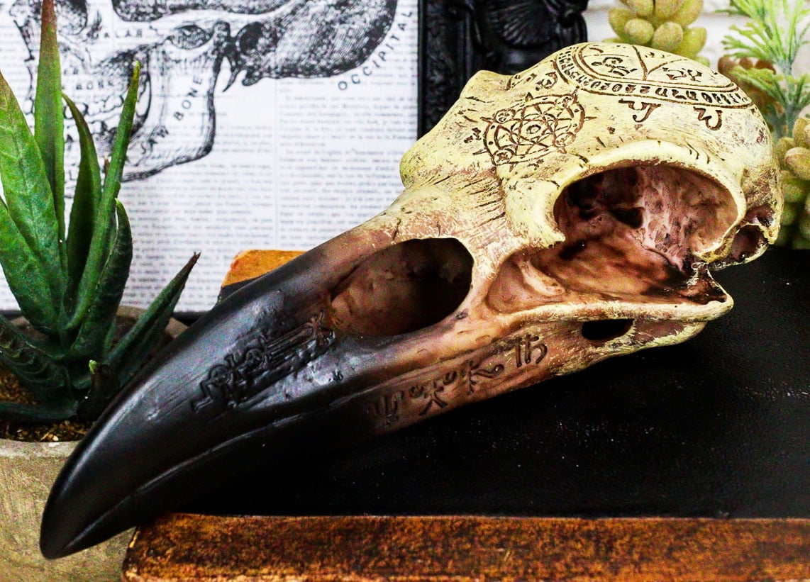 Ebros Pentagram Omega Alchemy Raven Crow Skull Figurine with Carved ...