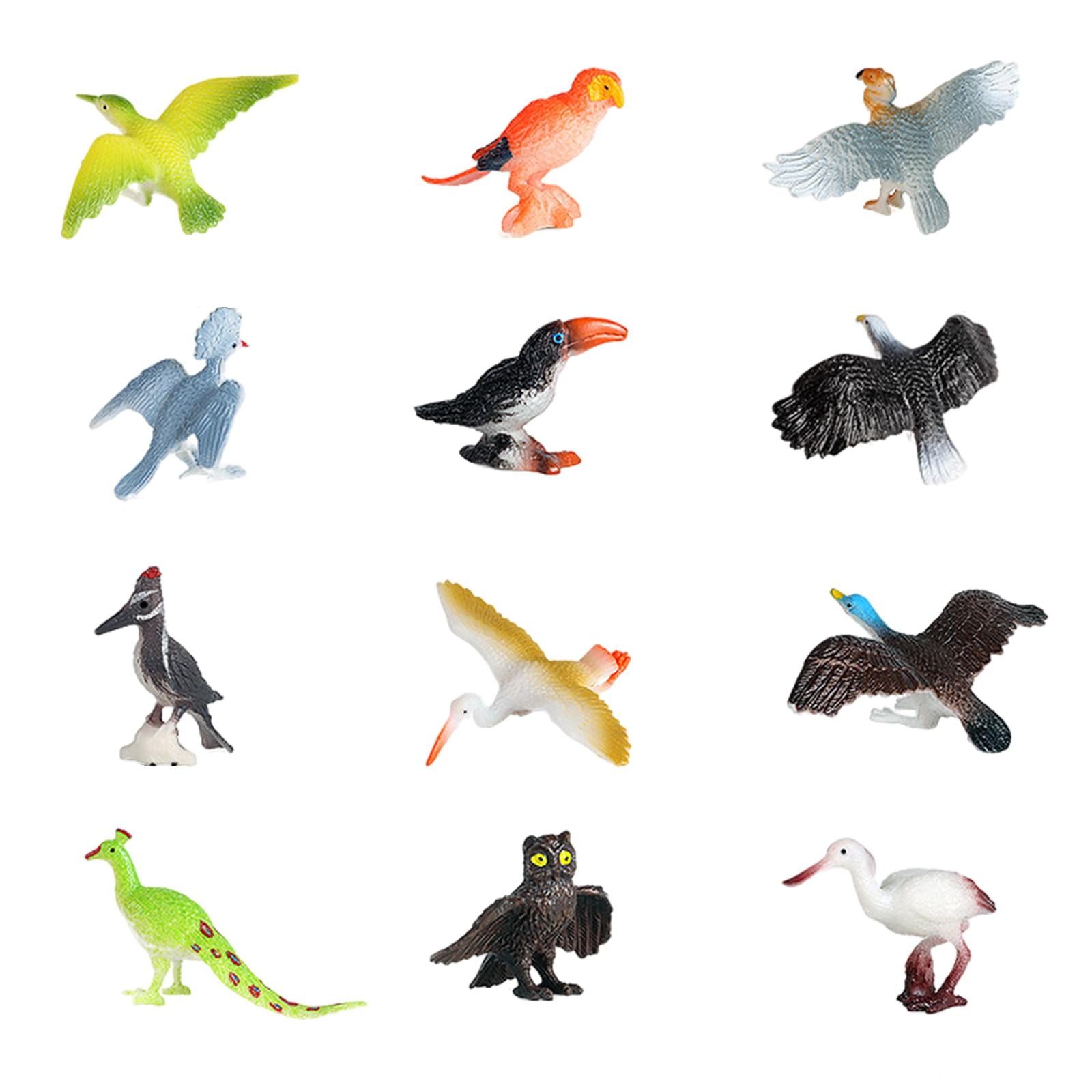12/Set Animal Model Figure Playset Miniature for Teaching Prop Bird ...