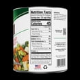 Veg-All Original Mixed Vegetables 29 Oz Can - Walmart.com