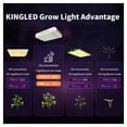 2PCS 3000W LED Grow Light 301h Phytolamp For Indoor Plants Seedlings ...