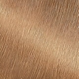 Garnier Nutrisse Nourishing Hair Color, 80 Medium Blonde, Permanent ...