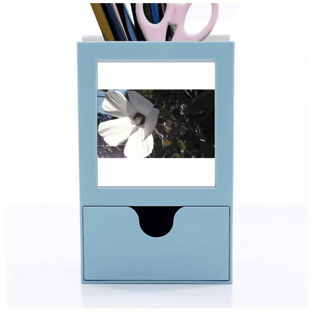 White Daizy Photography Culture Desk Supplies Organizer Pen Holder Card ...