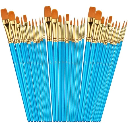 Sooez 30Pcs Art Paint Brushes Set, Round Pointed Tip Nylon Hair Art ...
