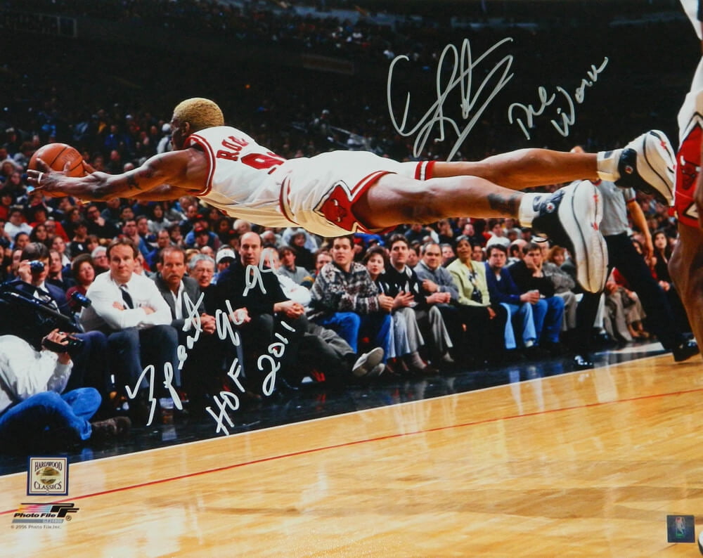 Dennis Rodman Signed Chicago Bulls Diving For Basketball 16x20 Photo w ...