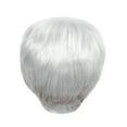 KAGAYD WIGS Natural Short Grey White Wig Dress Rose Net Synthetic Curly ...