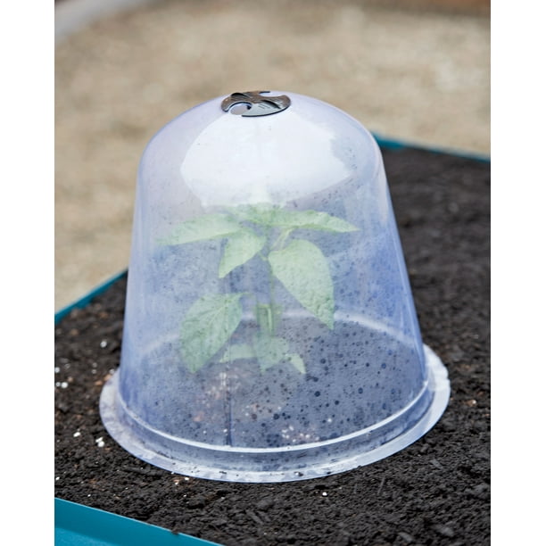 Large Garden Cloches, Set of 3 - Walmart.com - Walmart.com Large Garden Cloches, Set of 3 - Walmart.com - Walmart.com