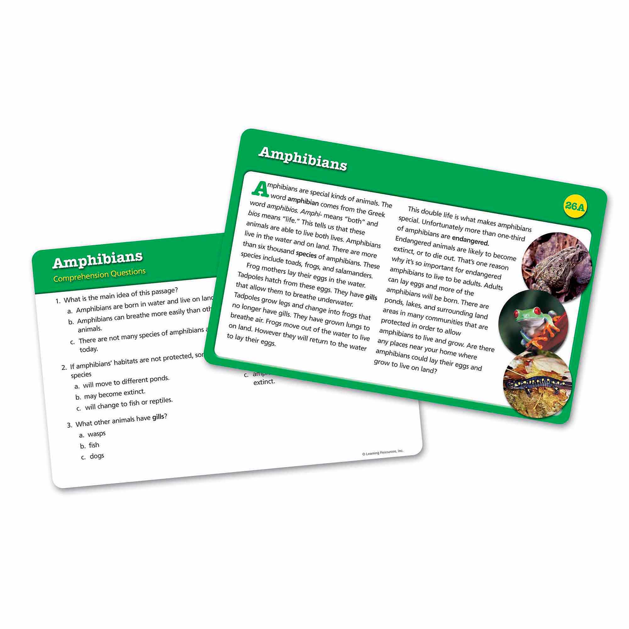 Learning Resources Reading Comprehension Card Set 3 - Walmart.com