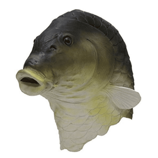 Masked Fish