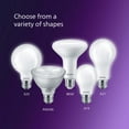 Philips Ultra Definition LED 60-Watt A19 Light Bulb, Frosted Daylight ...