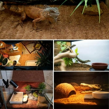 Exo Terra 20-Gallon Juvenile Bearded Dragon Starter Kit - Walmart.com