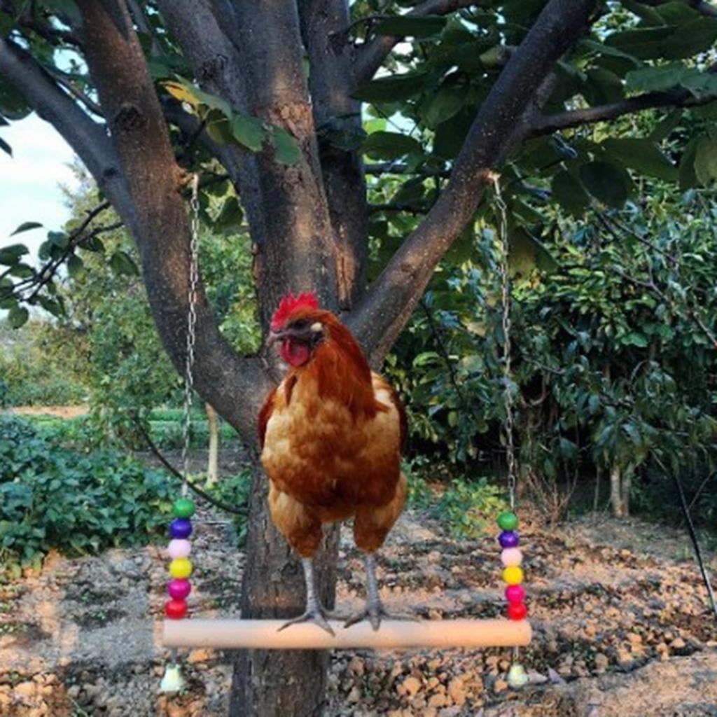 Set of 2 Chicken Swing Wooden Perch Stand Exercise Toy for Hens Large ...
