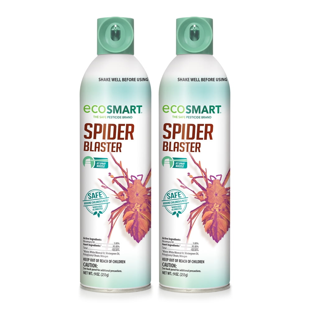 EcoSmart Natural, Plant-Based Spider Blaster/Killer, 9 Ounce Aerosol ...
