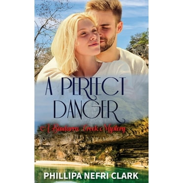 Shadowshaper (the Shadowshaper Cypher, Book 1) (Paperback) - Walmart.com