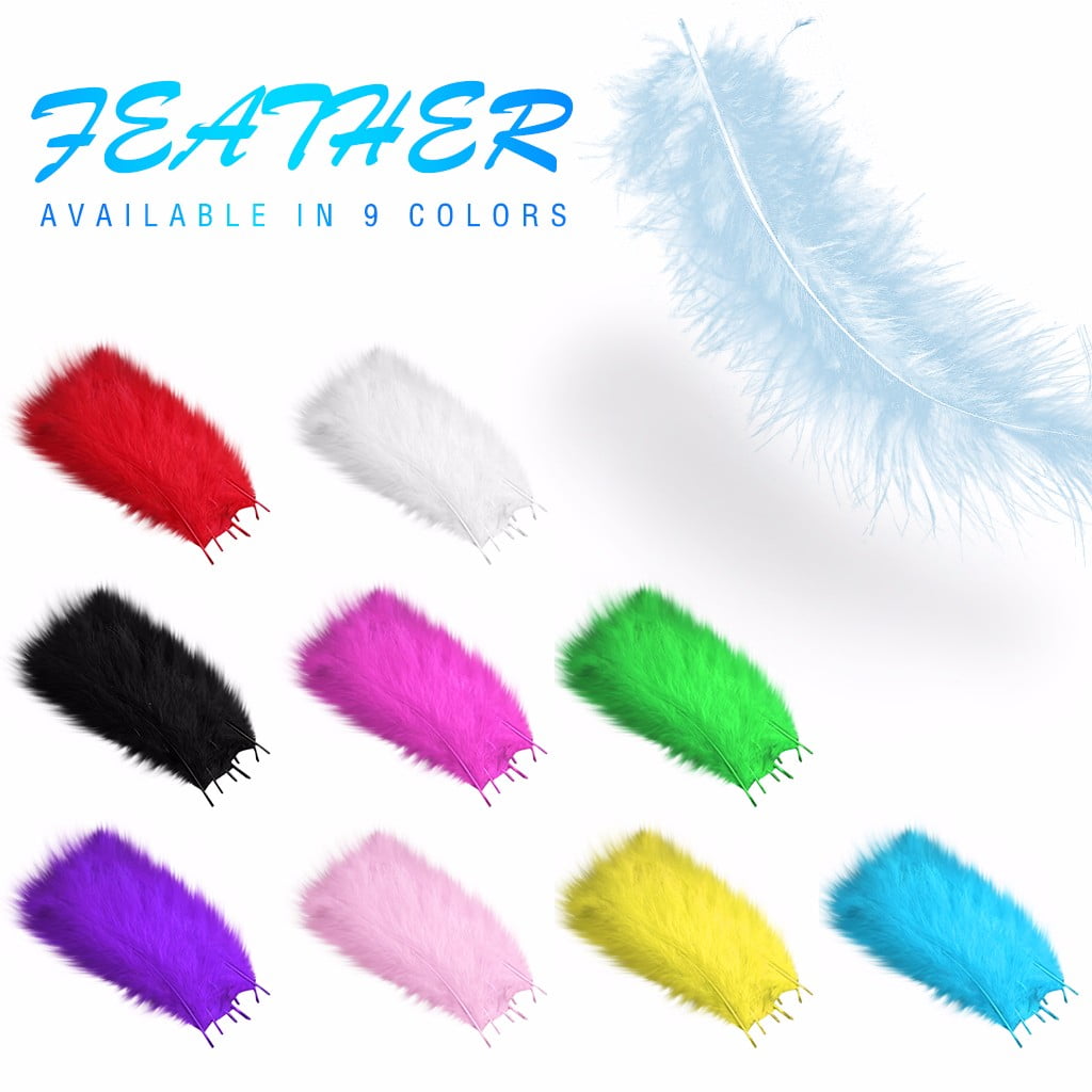 Click here for Vaidha 200 Pcs Feathers Natural Feathers Soft Feat... prices