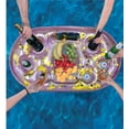 POZA, Inflatable Pool Cooler Float, 39"x23", Confetti Purple Gold ...