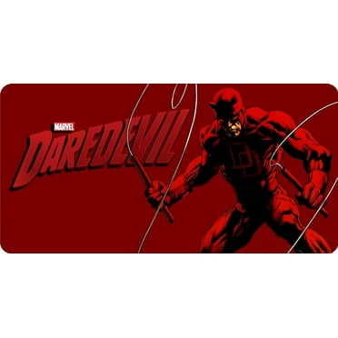 Frozen Photo License Plate - Walmart.com