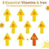 Poly-Vi-Sol with Iron Multivitamin Drops, Liquid Supplement for Infants ...