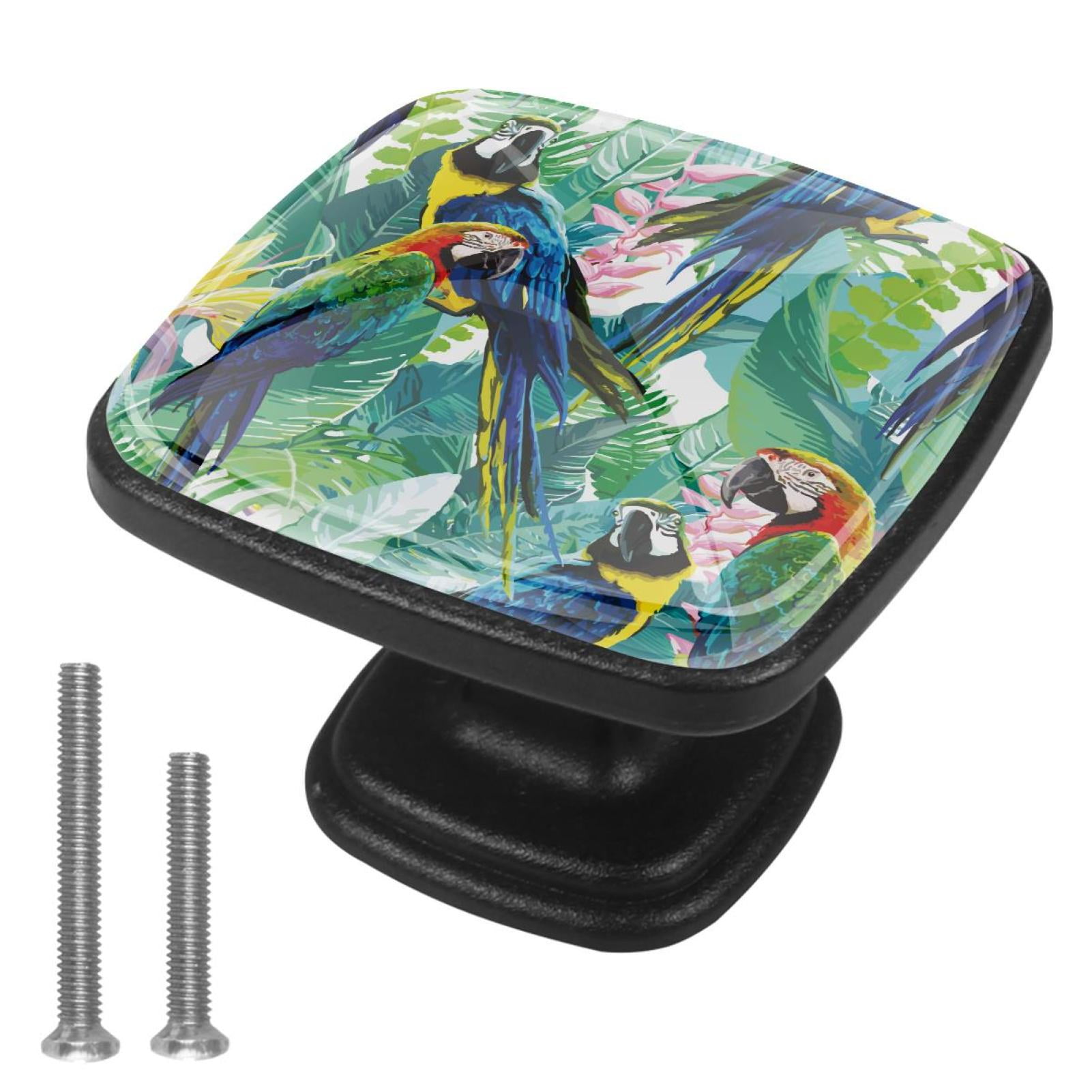 4 Pcs Cabinet Handle Drawer Pulls Parrot Knobs with Screws Square ...