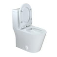 "WinZo WZ5079N 23"" Compact One Piece Toilet with Tank Seat, Dual Flush ...
