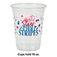 Patriotic Stars and Stripes 6 Count Disposable Plastic 16OZ Party Cups ...
