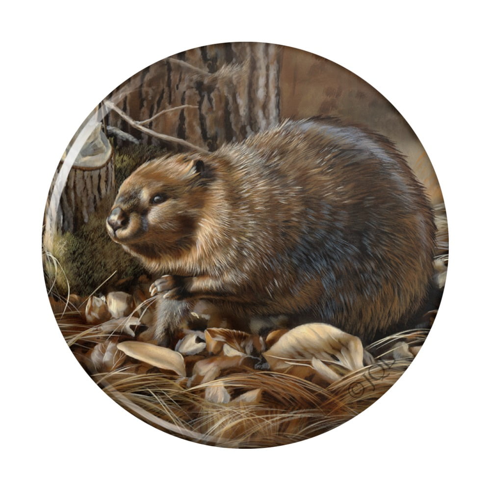 Beaver Being Busy Kitchen Refrigerator Locker Button Magnet - Walmart.com