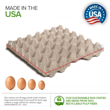 Stromberg's Large Blank Egg Cartons, Bulk Pack for Large Eggs, Perfect ...