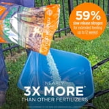 GreenView Fairway Formula Fall Fertilizer - 25 lb. - Covers 5,000 Sq ...