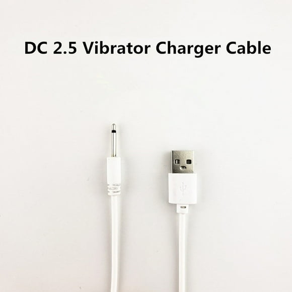 Vibrator Charger