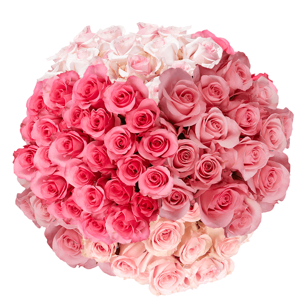 100 Stems of Assorted Pink Roses- Beautiful Fresh Cut Flowers- Express ...