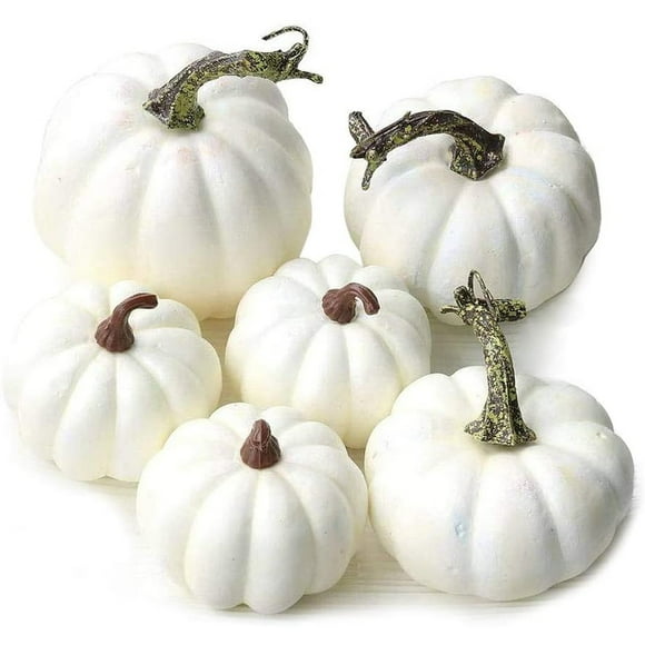Real Mini White Pumpkins