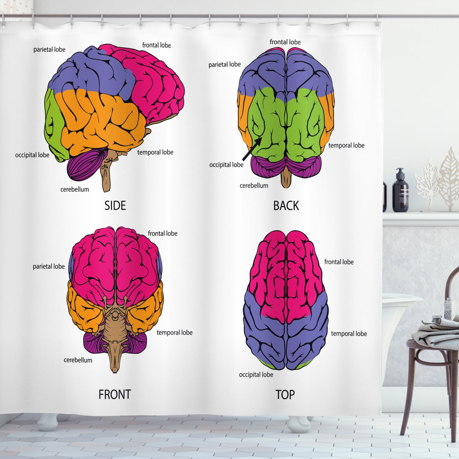 Ambesonne Science Shower Curtain, Human Brain Colors, 69"Wx75"L ...