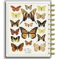 Happy Planner, Big 4-Month Undated Daily Notebook, Butterfly Theme ...